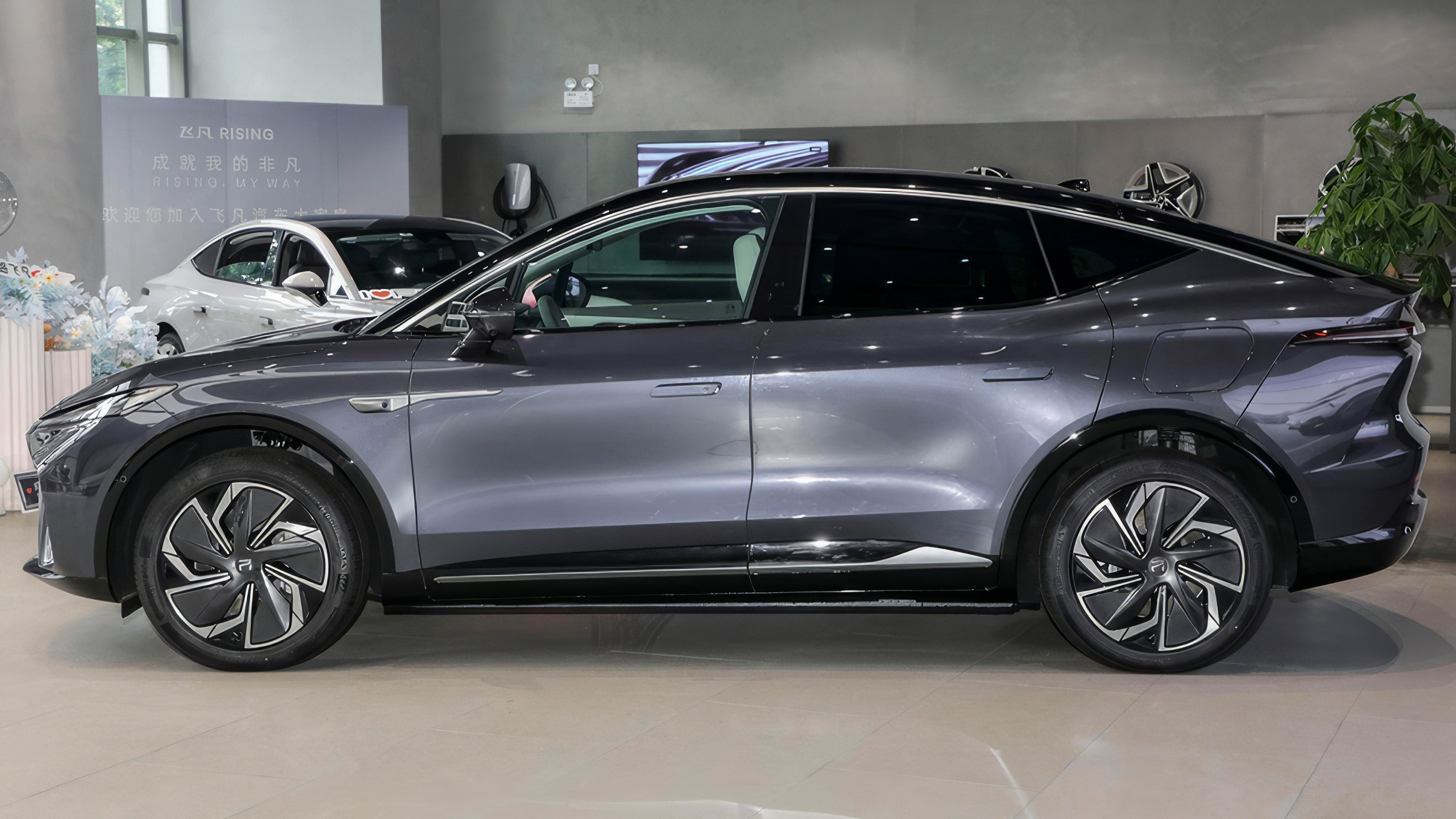 Rising Auto EV Portfolio - All Electric Models
